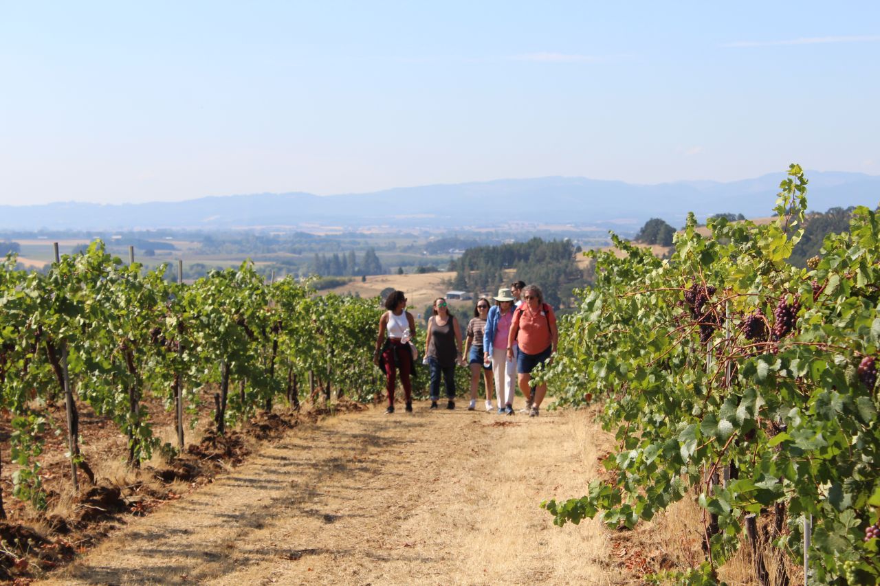 Guided Vineyard Hike